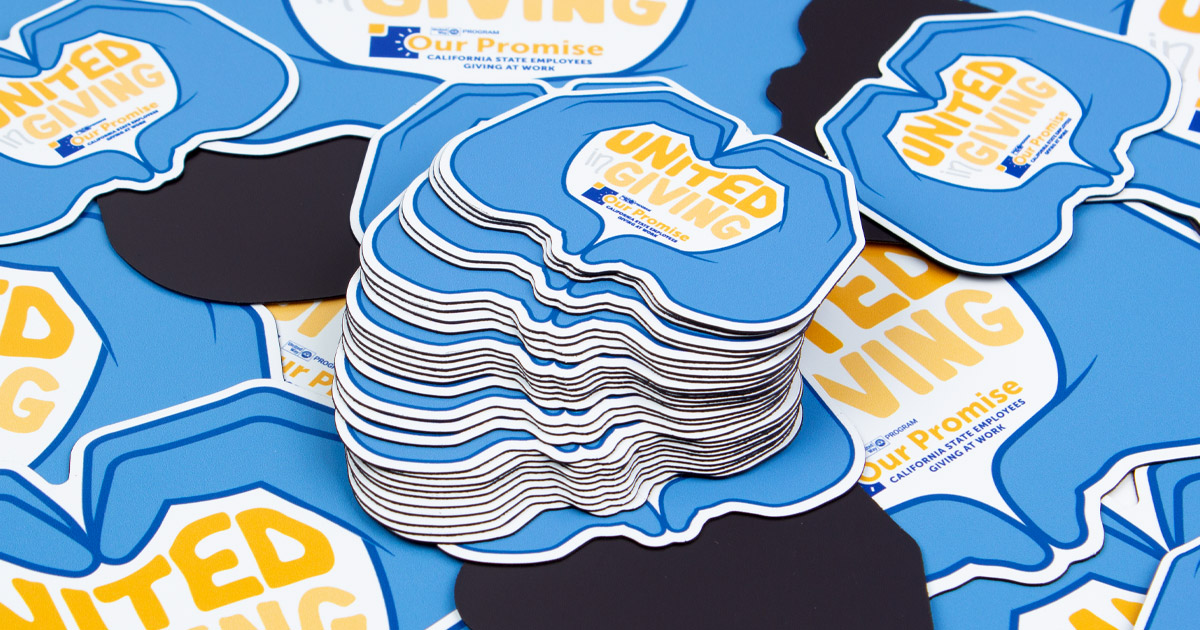 Flexible Magnet Samples