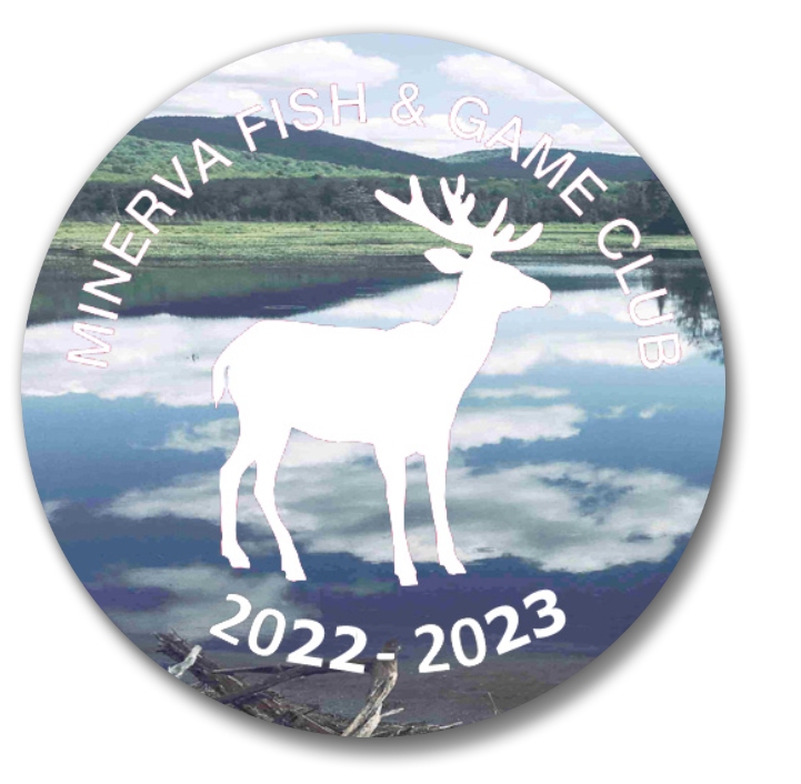 Order Custom Buttons - 19 Button Sizes: Round, Square, Rectangle, Oval